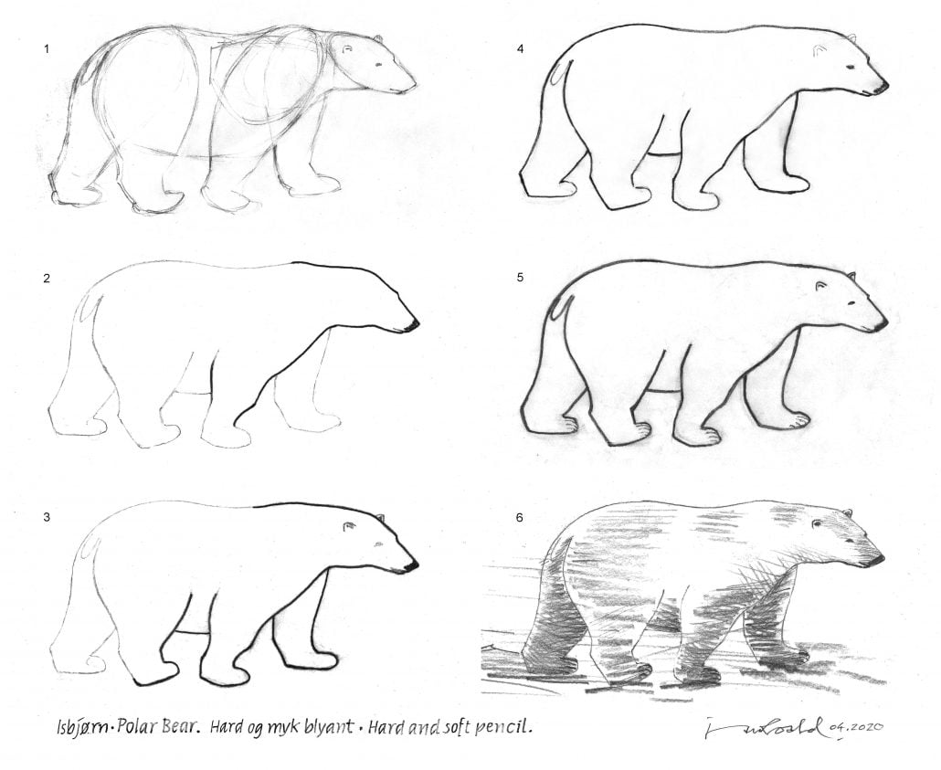 Tegn en isbjørn! — Norsk Polarinstitutt