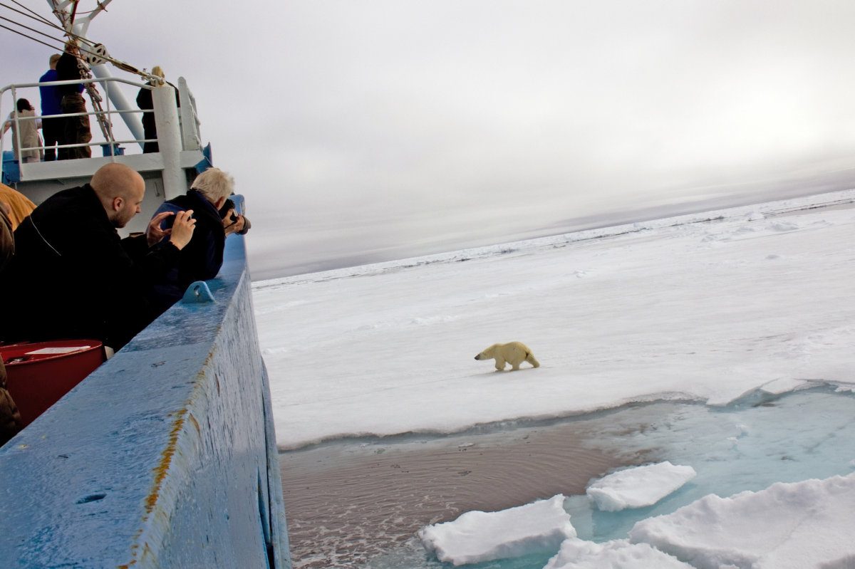 When scientists head into the polar bear’s realm – Norsk Polarinstitutt