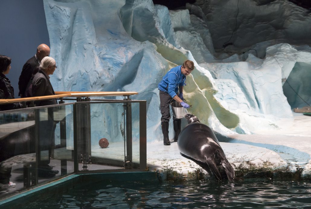 Forskning til folket – på Polaria – Norsk Polarinstitutt