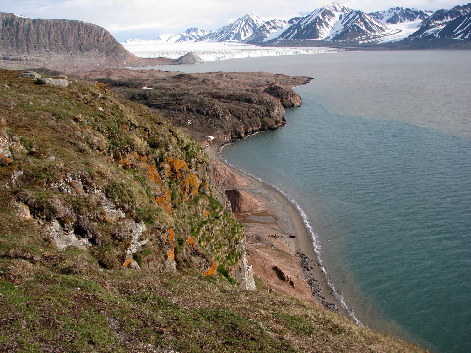 Aliens in the Arctic – Norsk Polarinstitutt