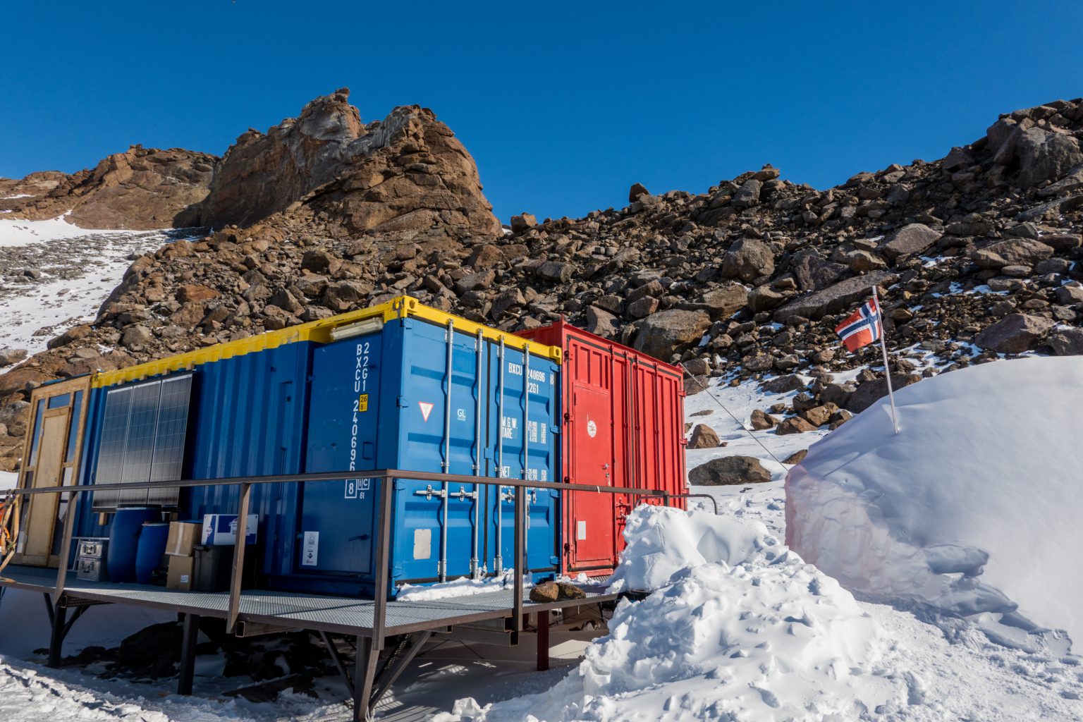 Stormfullt fugleliv – Norsk Polarinstitutt