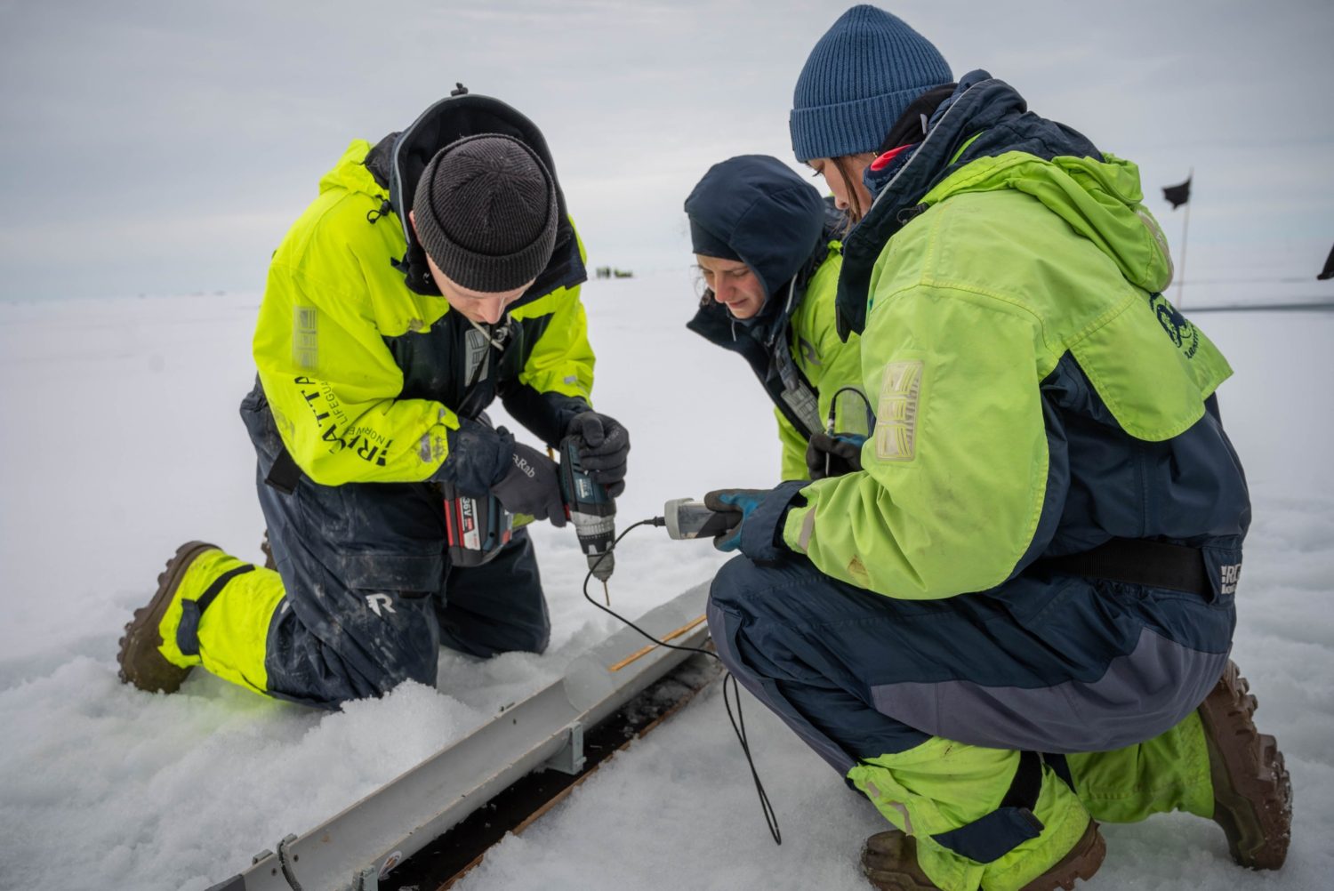 International cooperation among the scientists and experts of the ...