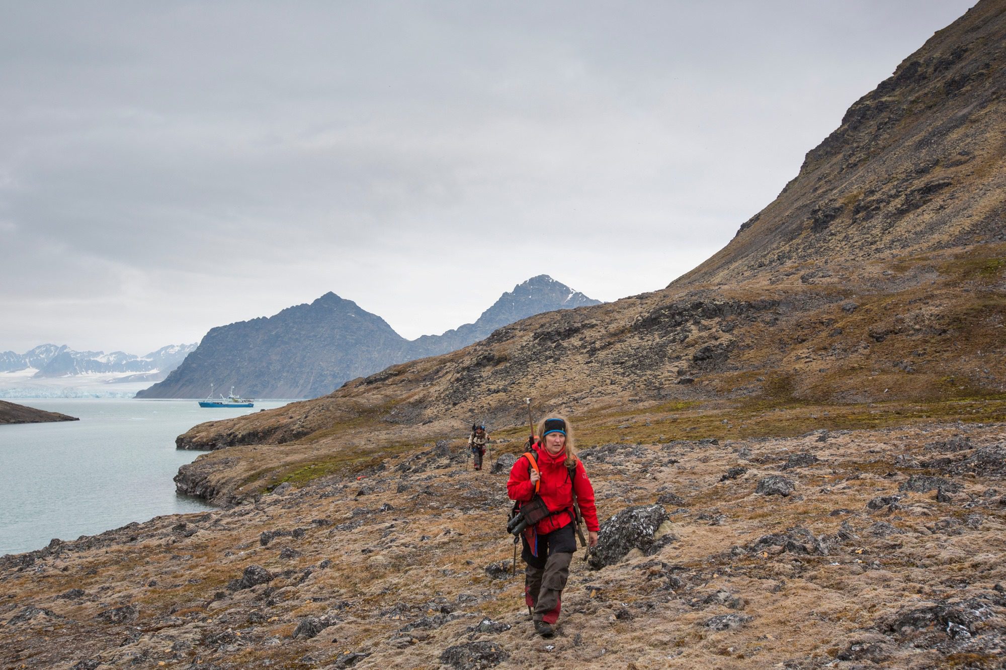 Polarmolte med bismak – Norsk Polarinstitutt