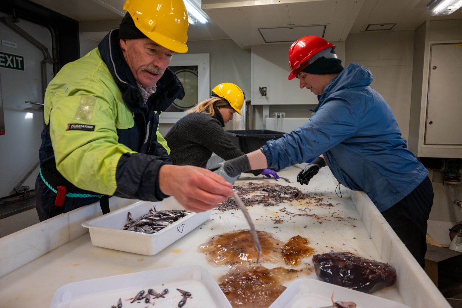 Lodda lukter på Polhavet – Norsk Polarinstitutt