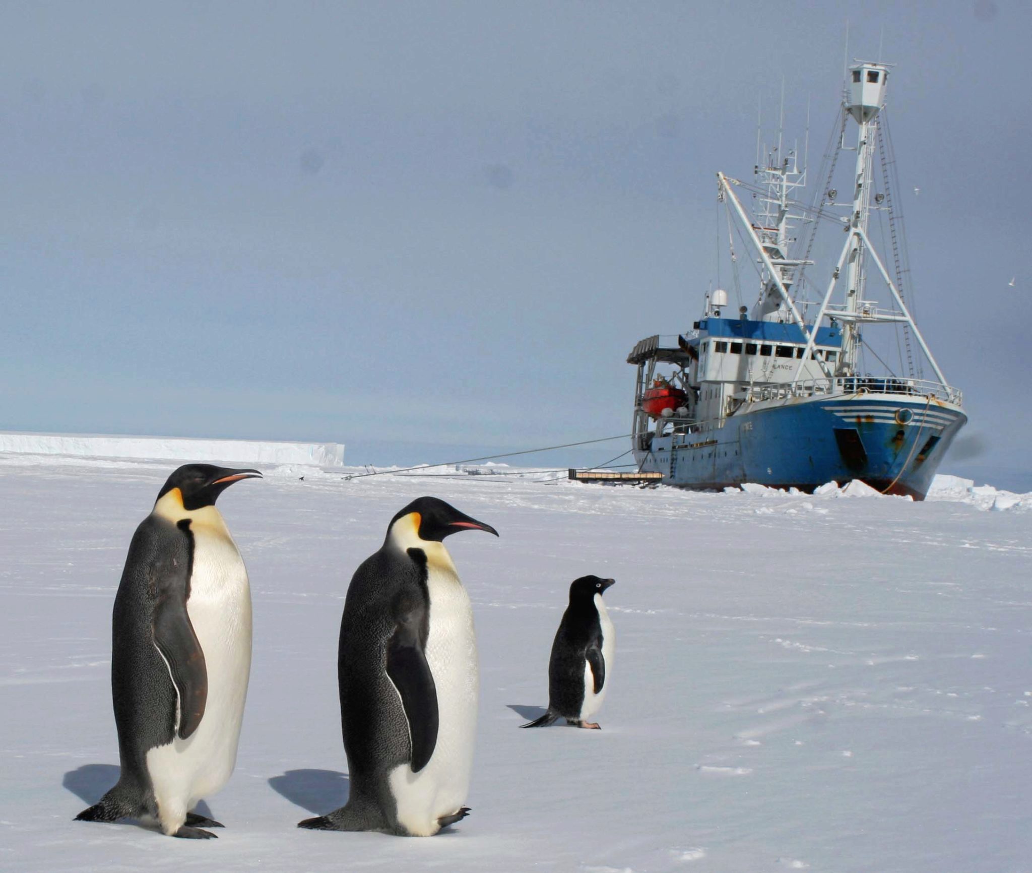 Regulations for activities in Antarctica – Norsk Polarinstitutt